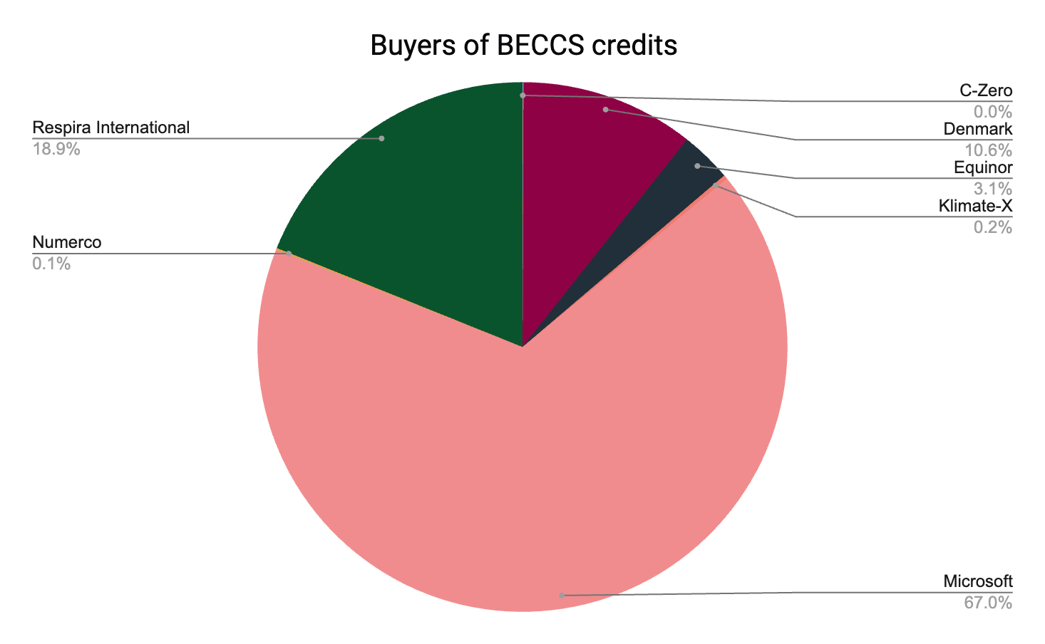 What is BECCS